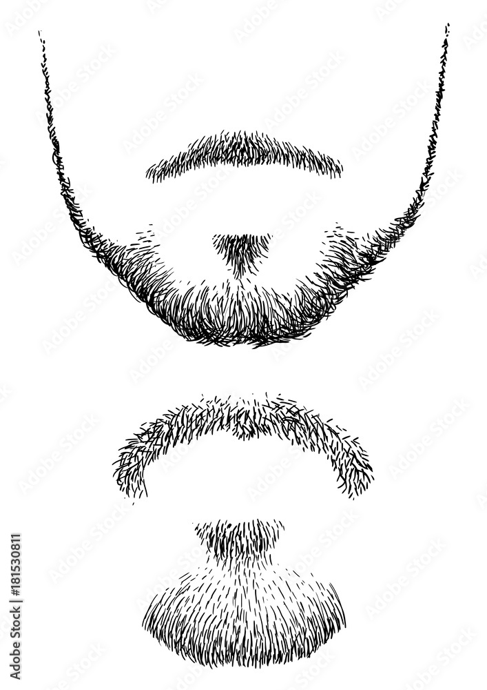 Photo & Art Print Beard illustration, drawing, engraving, ink, line art ...