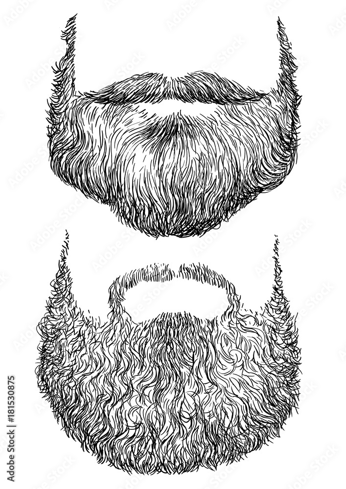 Beard illustration, drawing, engraving, ink, line art, vector Stock ...
