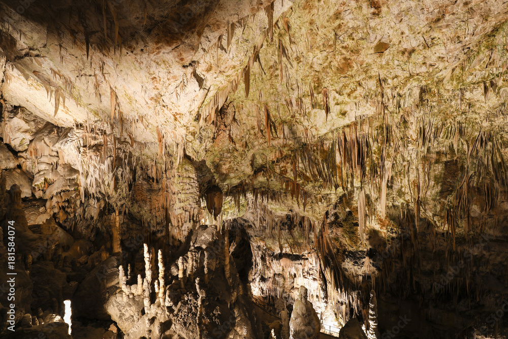 Postojna Cave (Slovenian: Postojnska jama; Italian: Grotte di Postumia ...