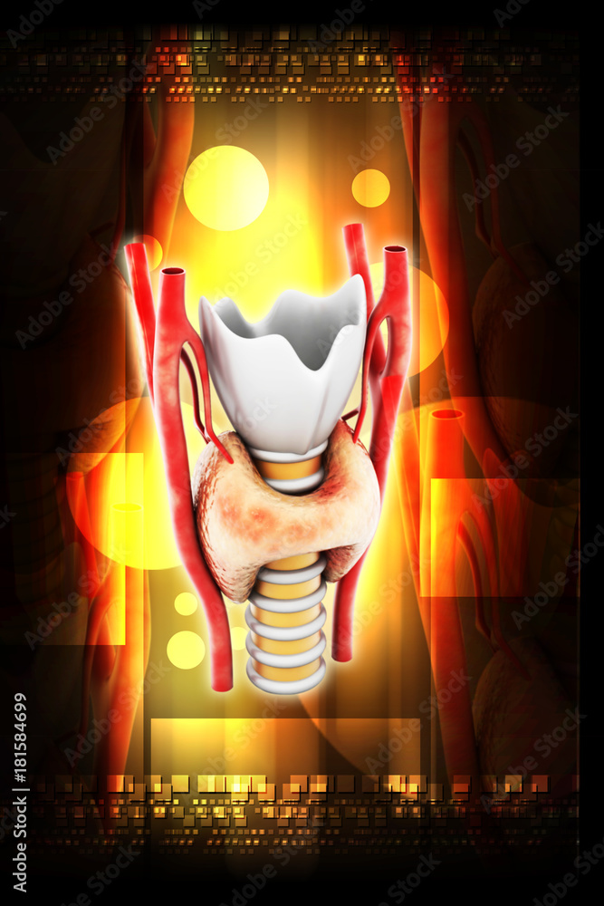 3d rendered Endocrine parathyroid gland on a color background Stock ...