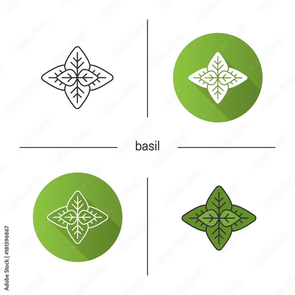 Basil icon Stock Vector | Adobe Stock
