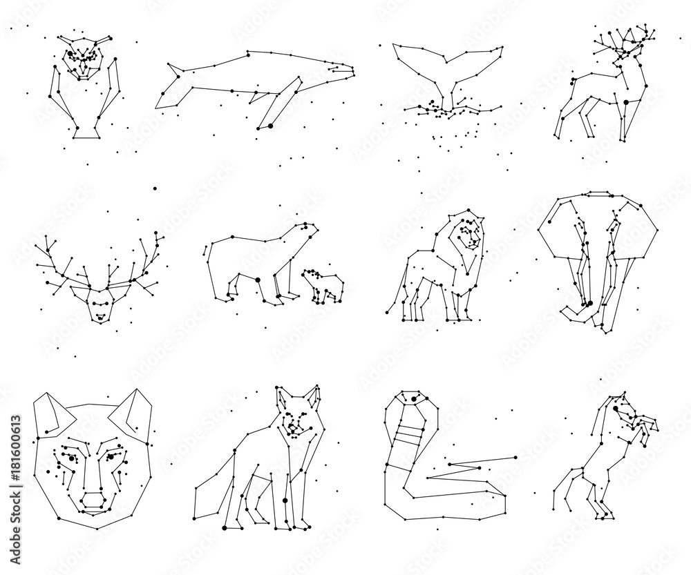 Vettoriale Stock Collection of animals constellation on white ...