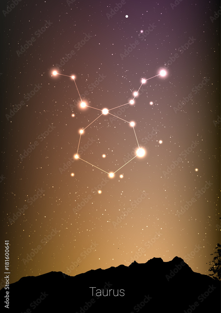 Taurus zodiac constellations sign with forest landscape silhouette on ...