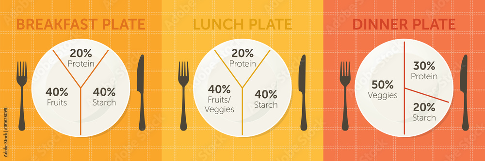 Healthy eating plate diagram. Breakfast, lunch and dinner Stock Vector ...