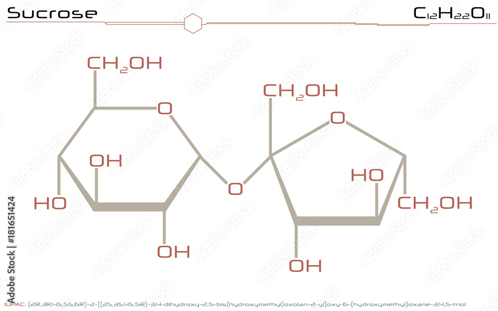 Large and detailed illustration of the molecule of Sucrose Stock Vector ...