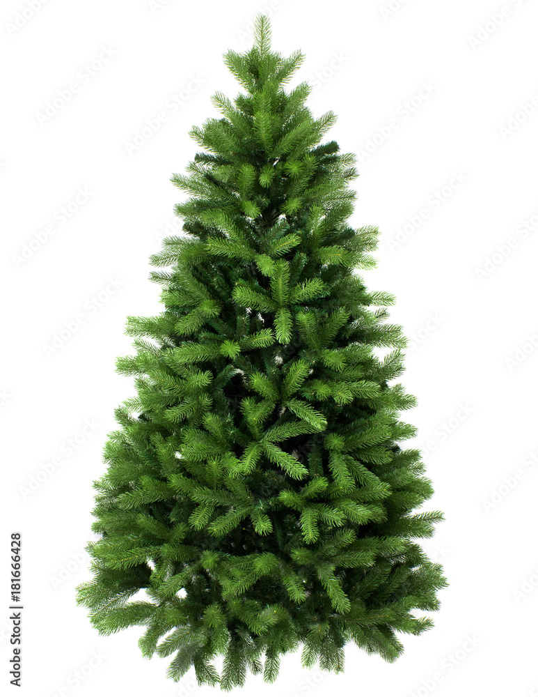 Green Pine, christmas tree isolated on white closeup Stock Photo ...