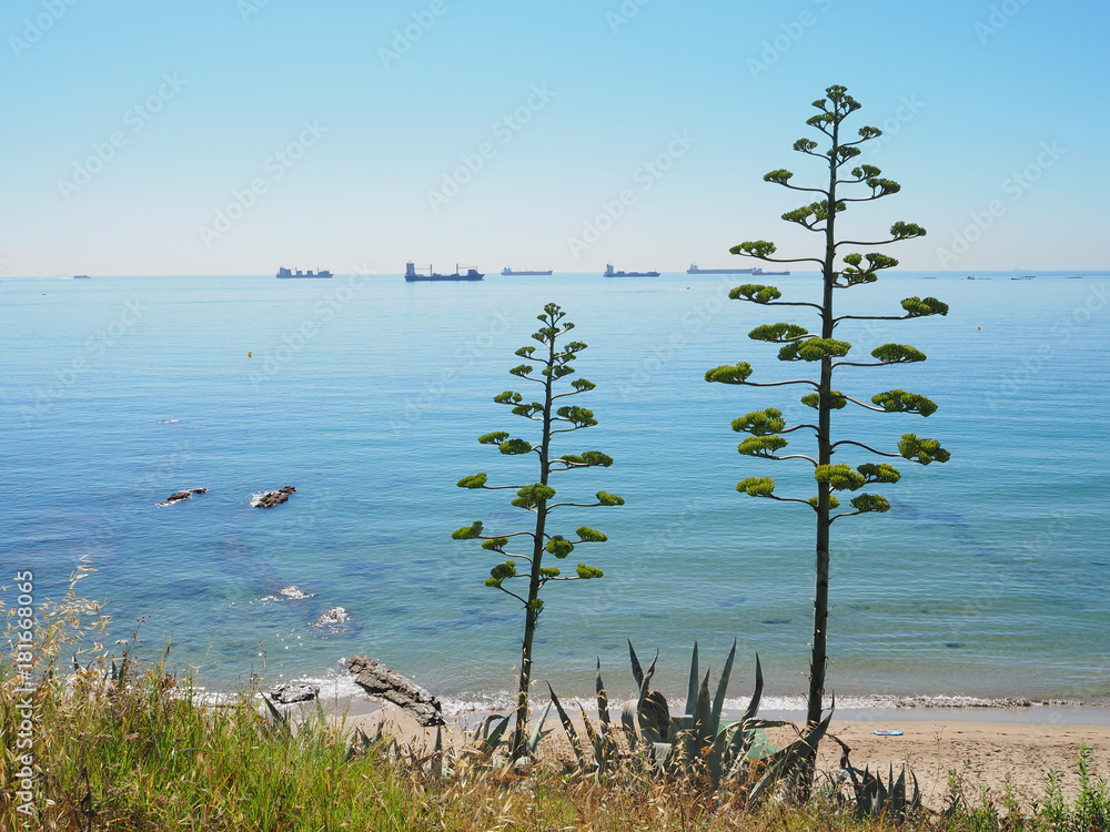 Unusual trees overlooking container and cargo ships passing between the ...