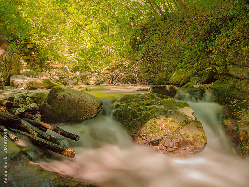 small waterfall of a watercourse of water surrounded by a forest with ...