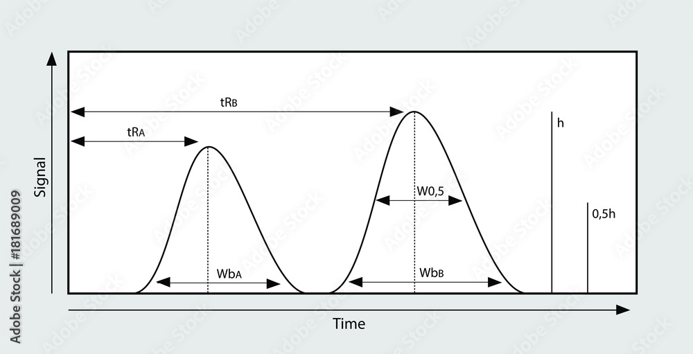 Vector illustration of a chromatography graph with measurements and ...
