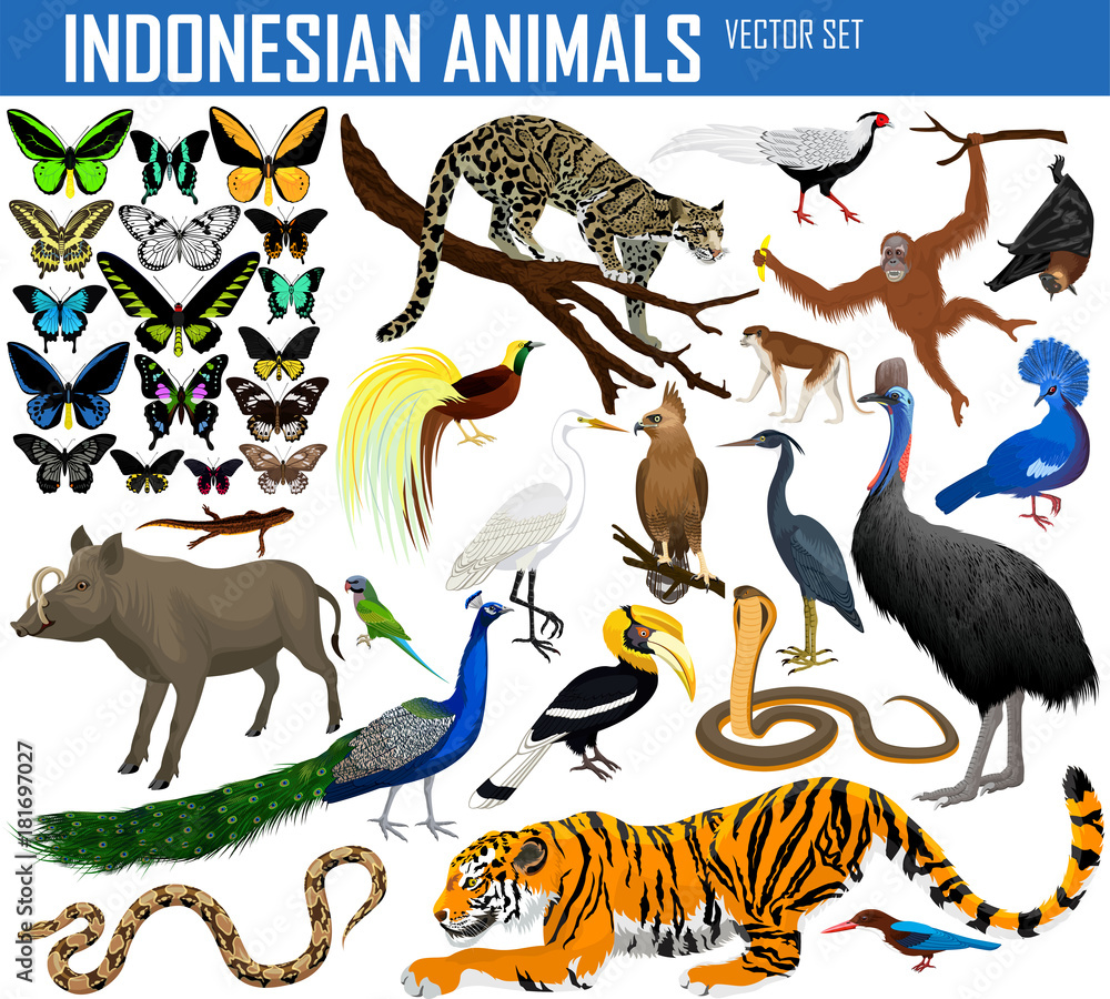 Animals of Indonesia and Indochina - vector set Stock Vector | Adobe Stock