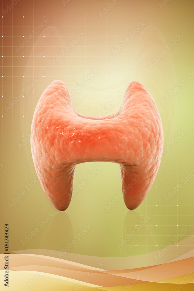3d rendered Endocrine parathyroid gland on a color background Stock ...