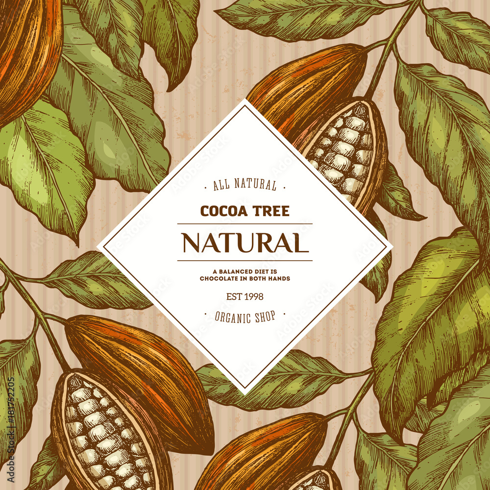 Cocoa bean tree round design template. Engraved style illustration ...