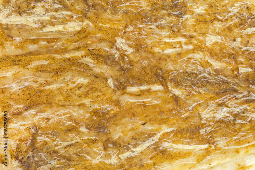 Closeup texture of dried Dong quai, Dang Gui, known as female ginseng ...