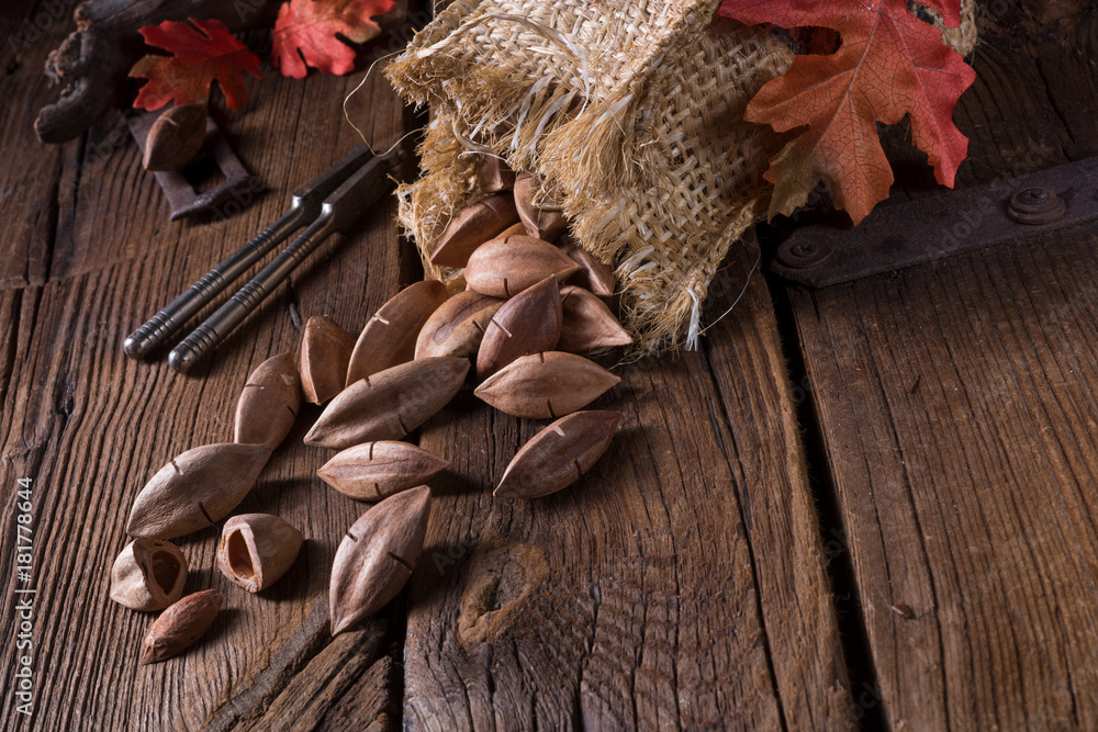 Canarium ovatum, commonly known as pili is a species of tropical tree ...