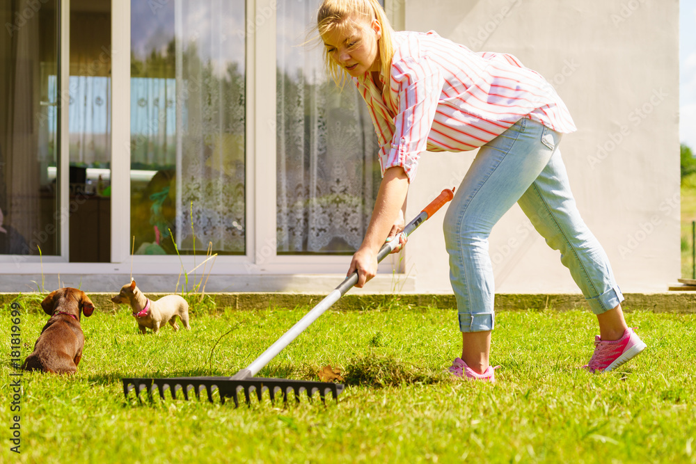 Woman using rake to clean up garden Stock Photo | Adobe Stock