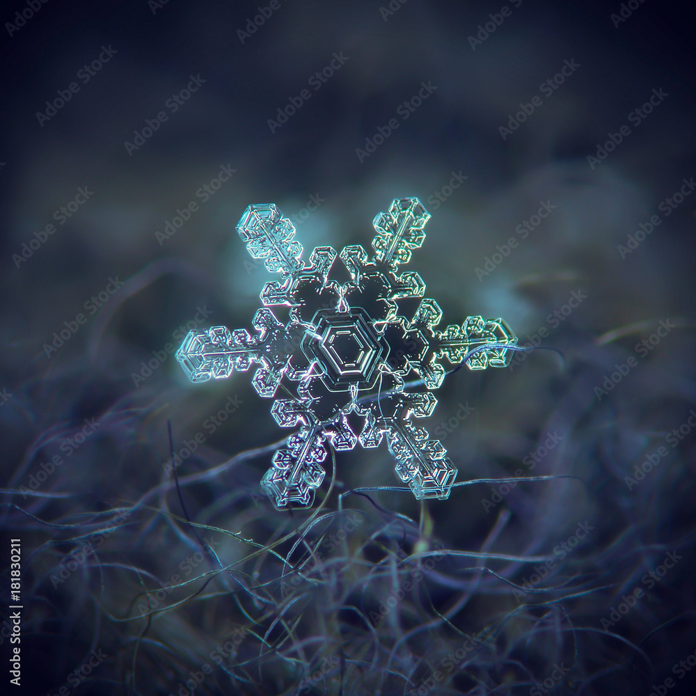 Real snowflake macro photo: small star plate snow crystal with six ...