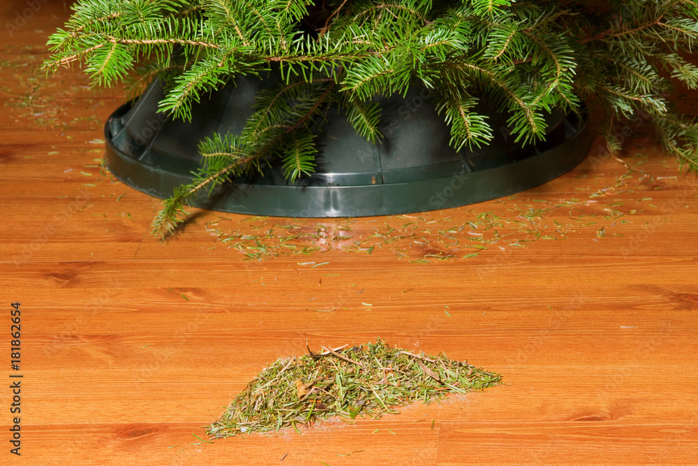 After Christmas Tree with Pile of Needles Stock Photo | Adobe Stock