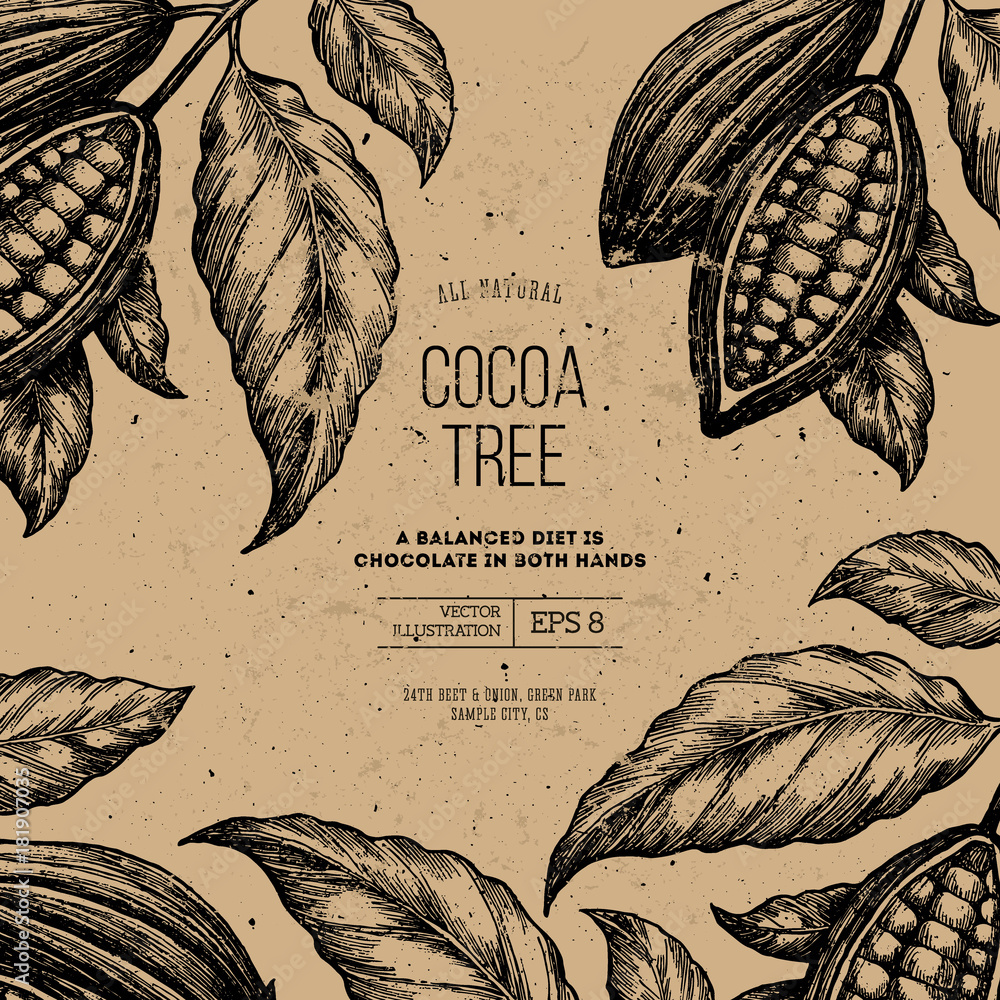 Cocoa bean tree design template. Engraved style illustration. Chocolate ...