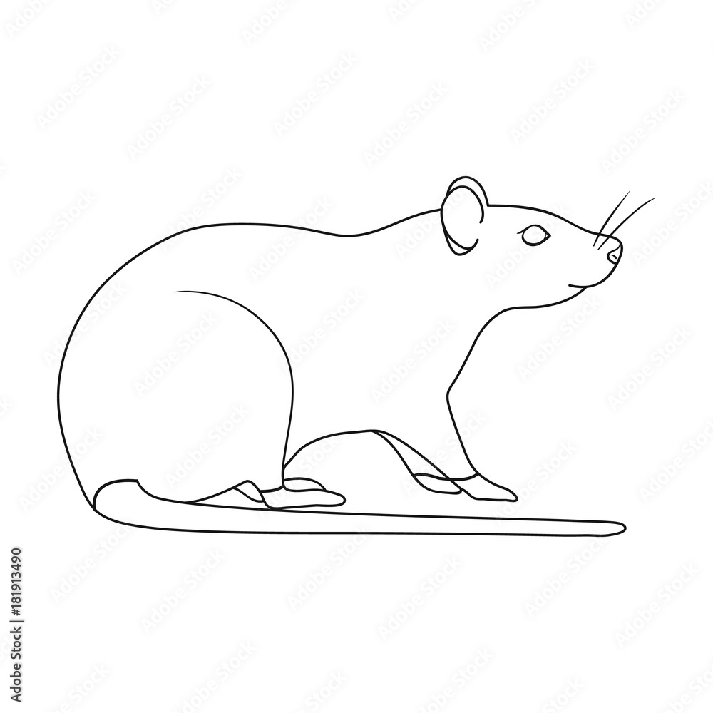 Rodent rat single icon in outline style for design.Pest Control Service ...
