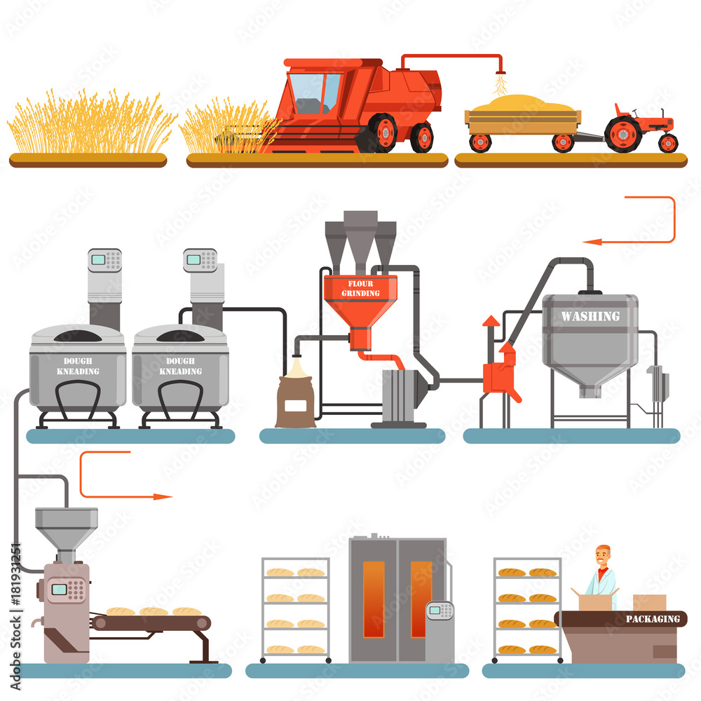Bread production process stages from wheat harvest to freshly baked ...