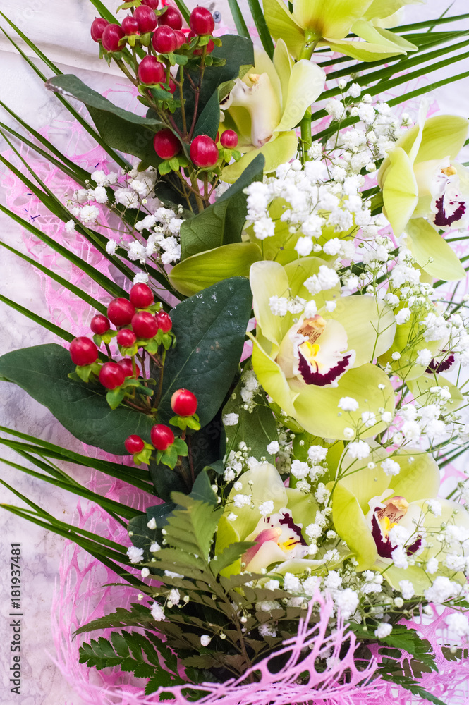 The Orchidaceae are a diverse and widespread family of flowering plants ...