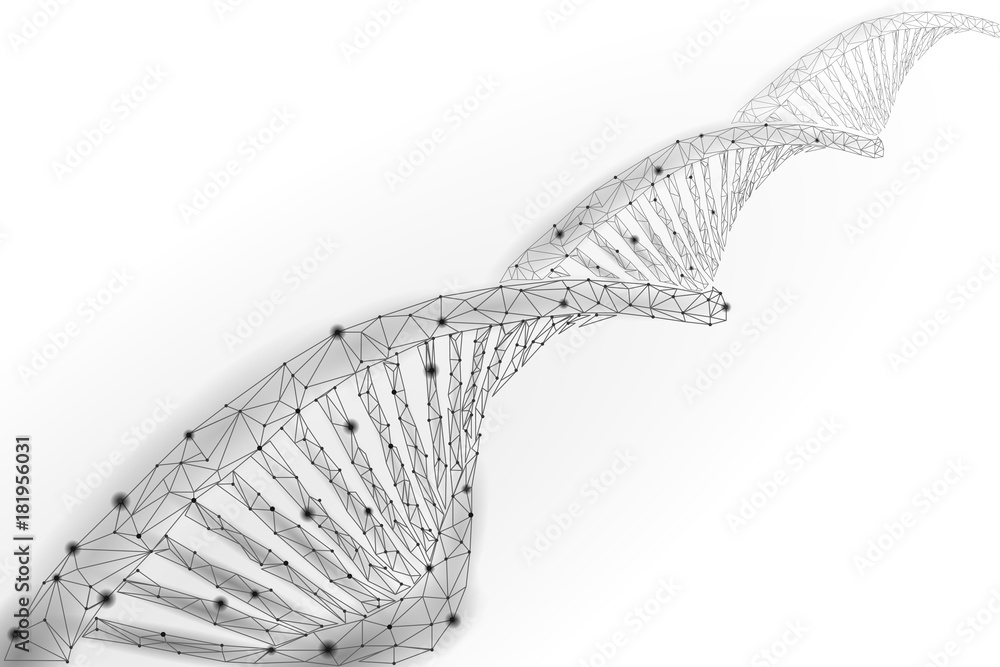 DNA 3D chemical molecule structure low poly. Polygonal triangle point ...