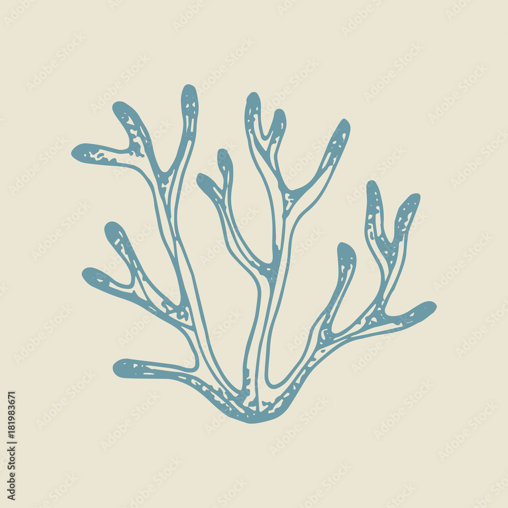 sea coral hand drawing vector. sketch Stock Vector | Adobe Stock