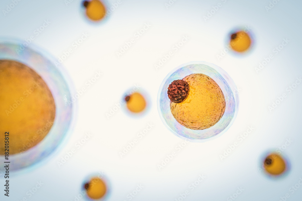 field of fat cells, High quality 3d render of fat cells, cholesterol in ...