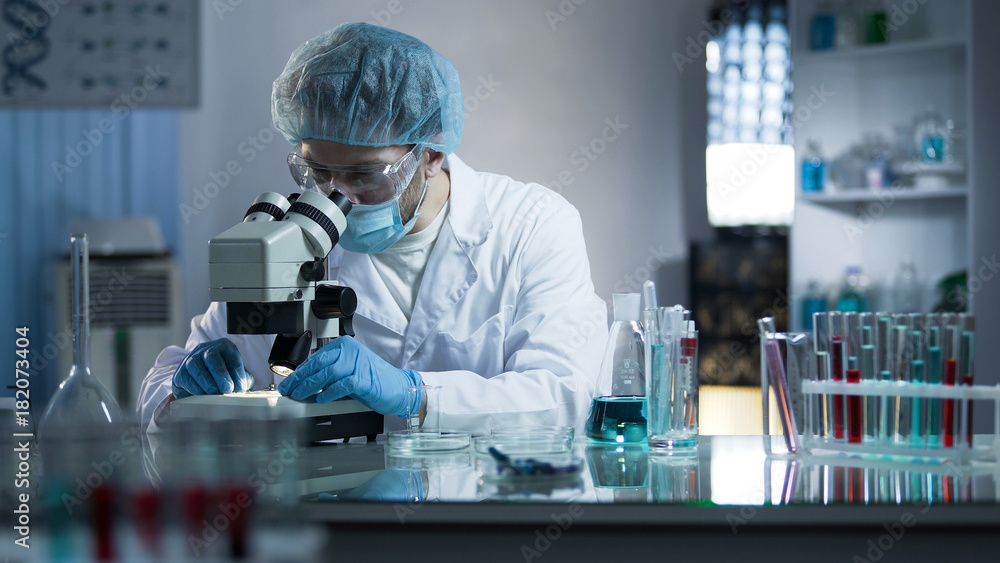 Scientist studying dna branches for additional information in cloning ...