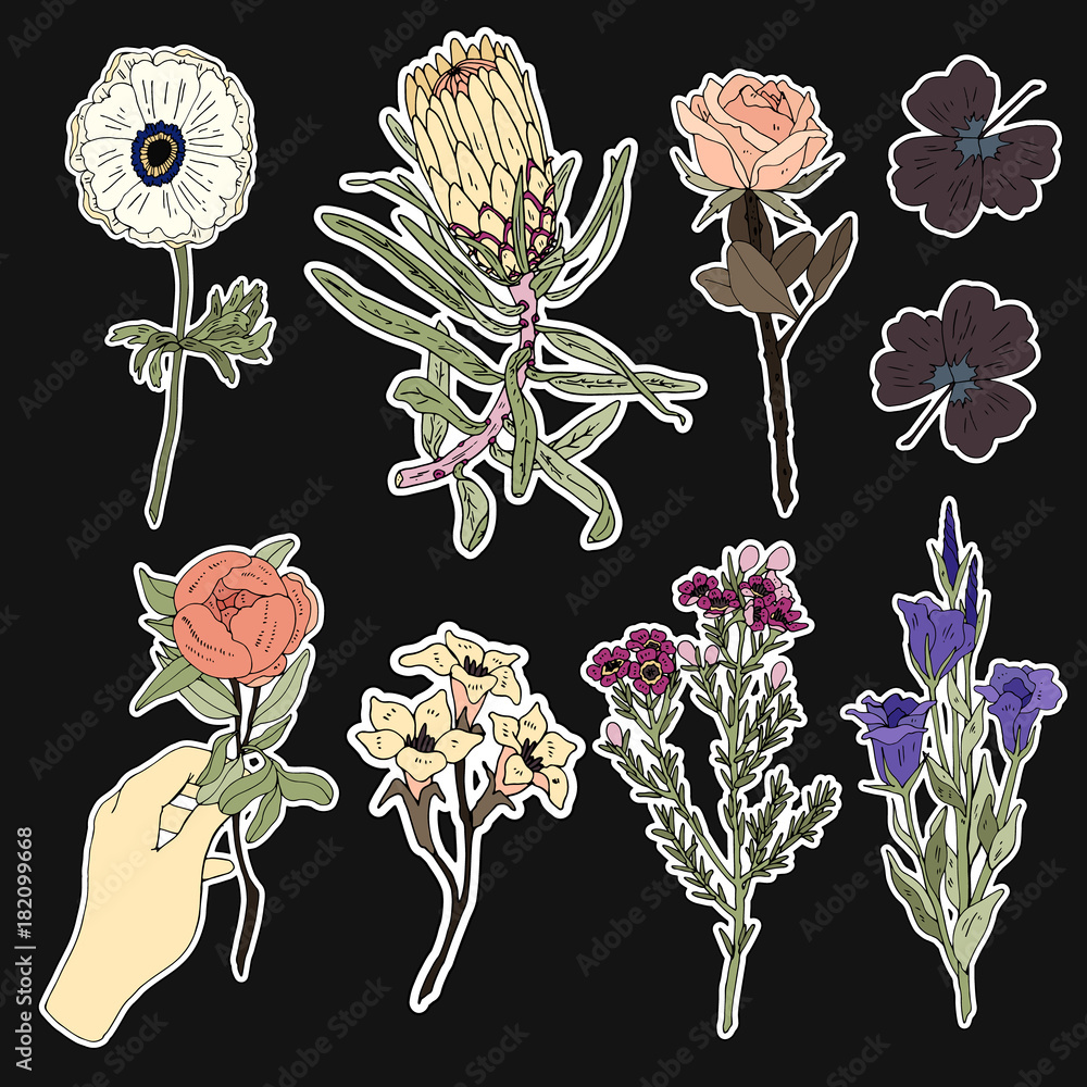 Set of flower and plant patches elements. Set of stickers, pins ...