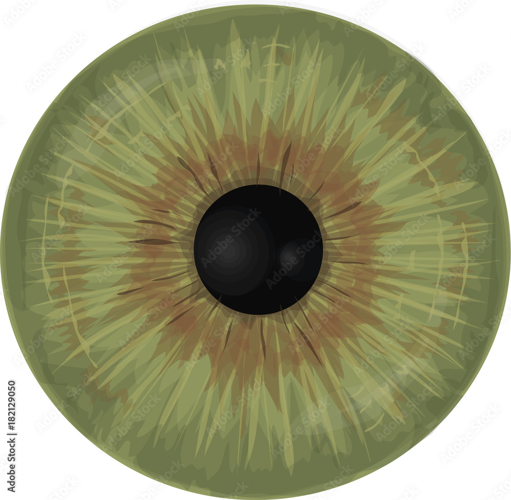 Realistic Blue Eye Texture