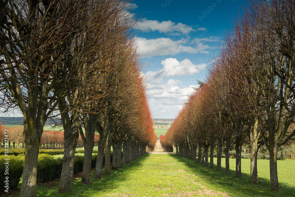 Thoiry Castle - Safari Park, the only park of its kind, located near ...