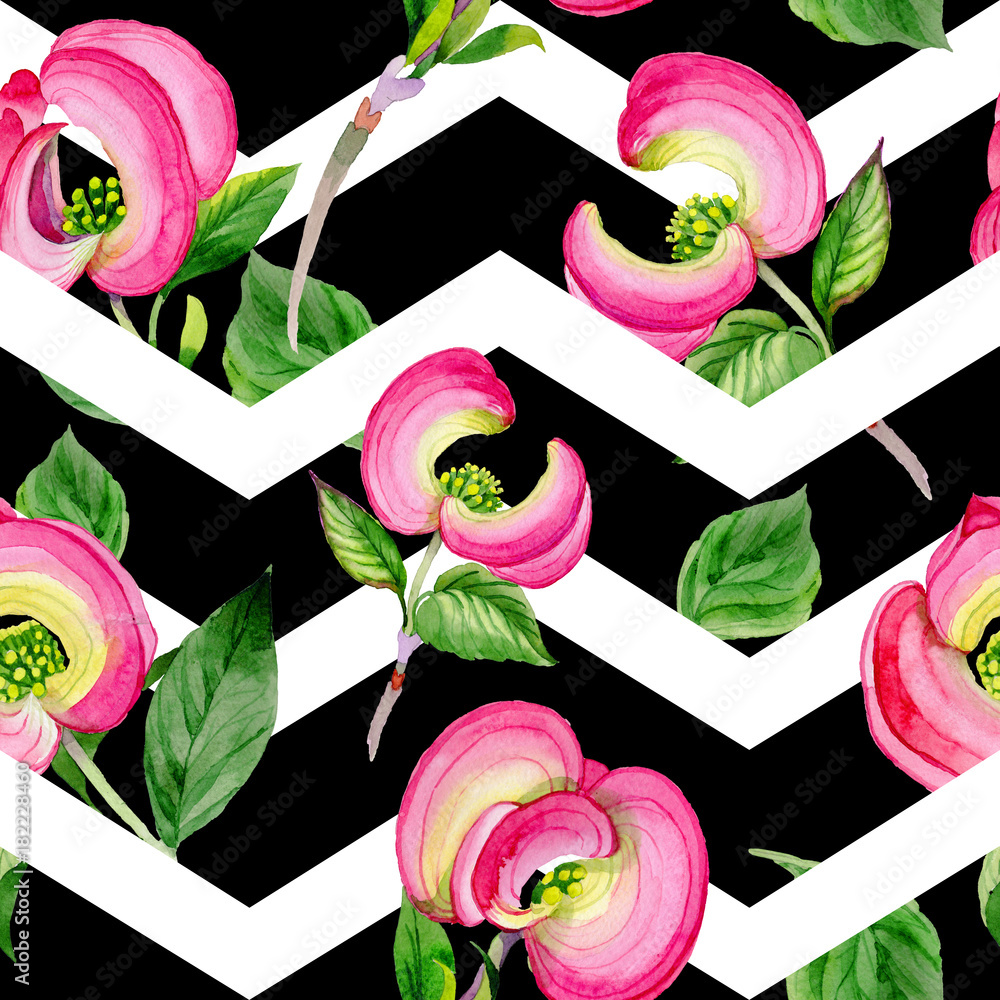 Wildflower cornos Florida flower pattern in a watercolor style. Full ...