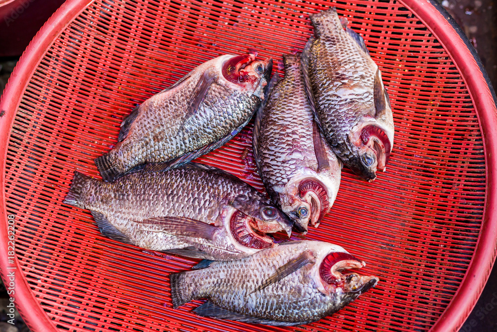 tilapia fish preparing for cook in a red sieve Stock Photo | Adobe Stock