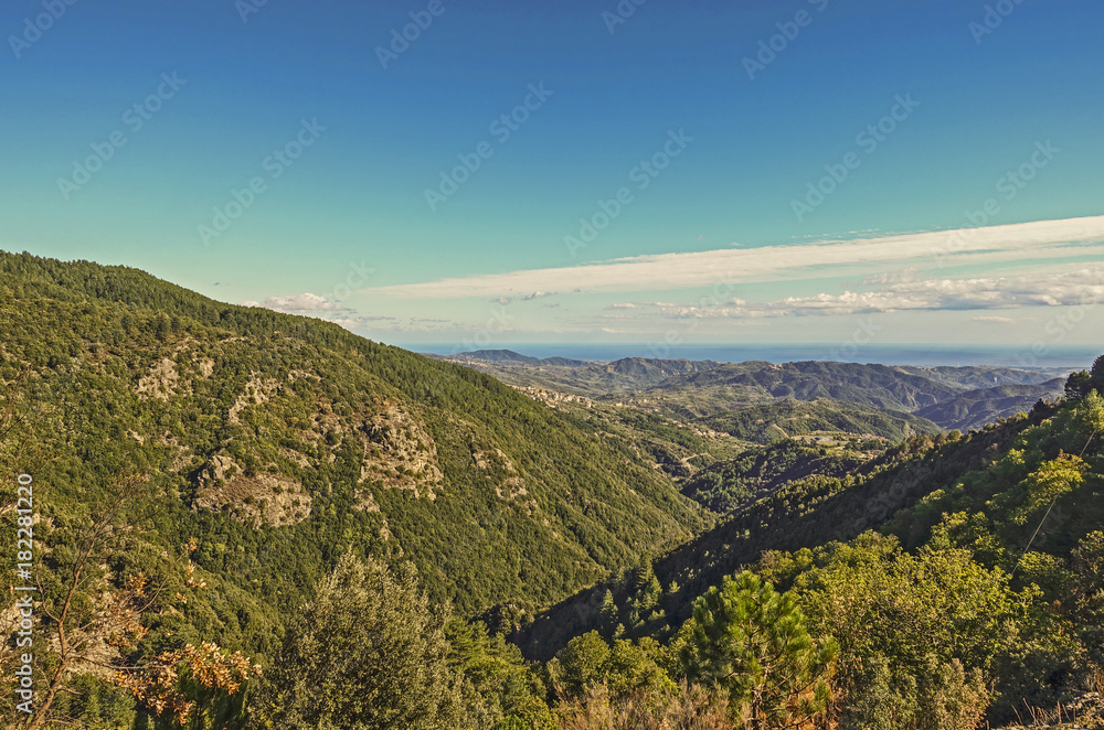 Foresta Sila Piccola Stock-Foto | Adobe Stock
