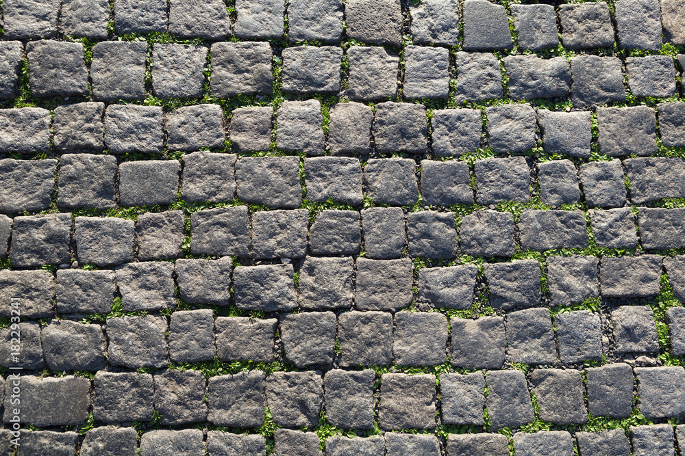 Green grass texture paving stone style seamless Stock Photo | Adobe Stock