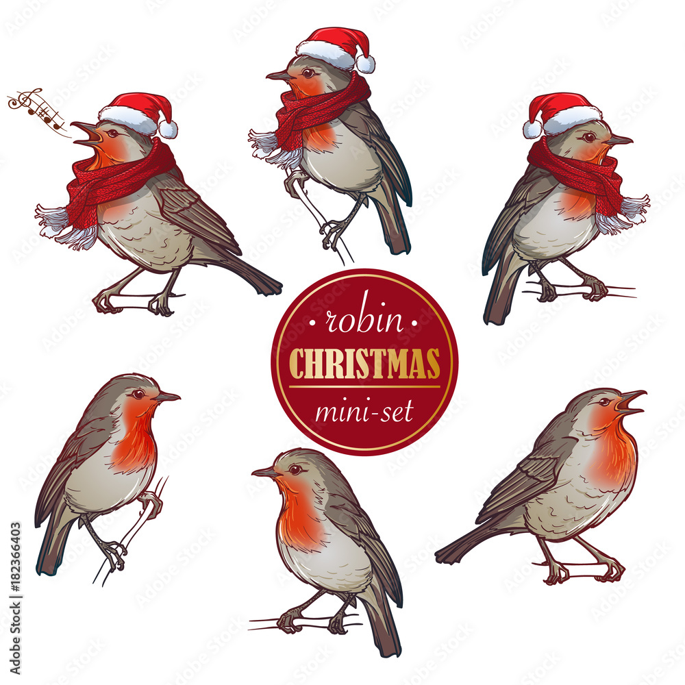 Christmas Robin. Set of 6 hand drawn paintings of Robin in different ...