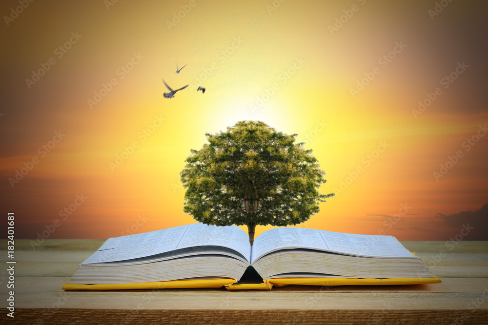 Wisdom, education and knowledge concept, tree growing up on book with ...