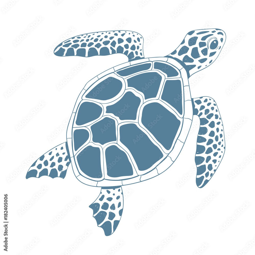 Graphic turtle. Vector illustration. Stock Vector | Adobe Stock