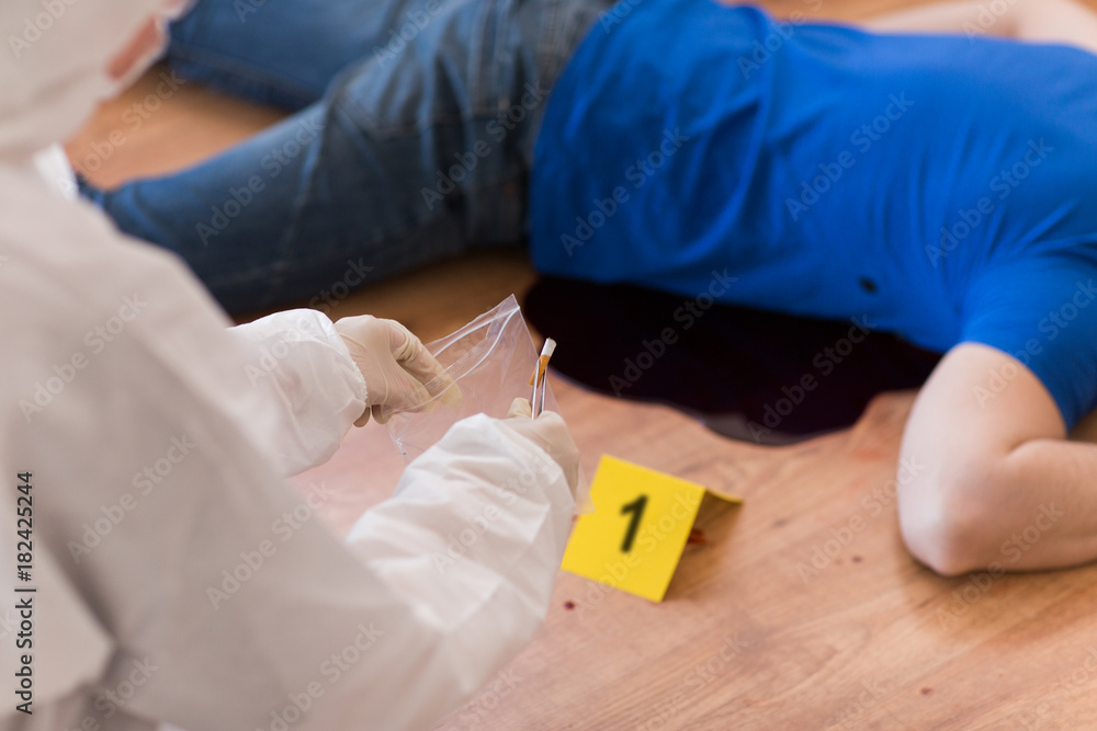 criminalist collecting crime scene evidence Stock Photo | Adobe Stock