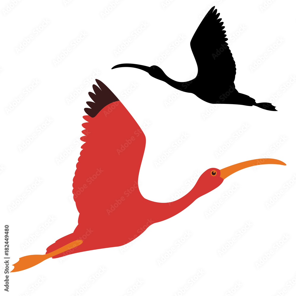 ibis bird vector illustration black silhouette profile side flat Stock ...