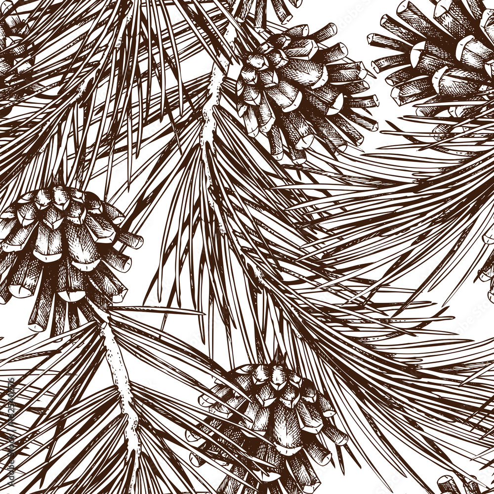 Vintage Pine Tree Illustration