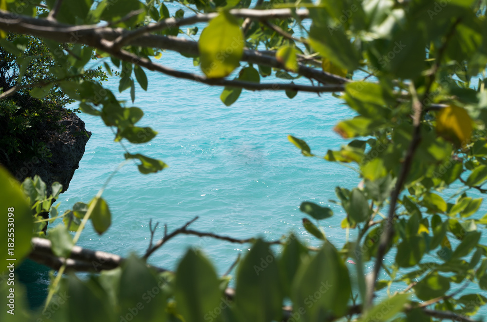 Natural frame formed by tree with view on ocean with free space for ...
