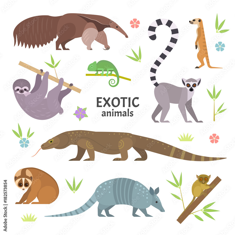 Exotic animals. Vector illustration with flat animals, including ...
