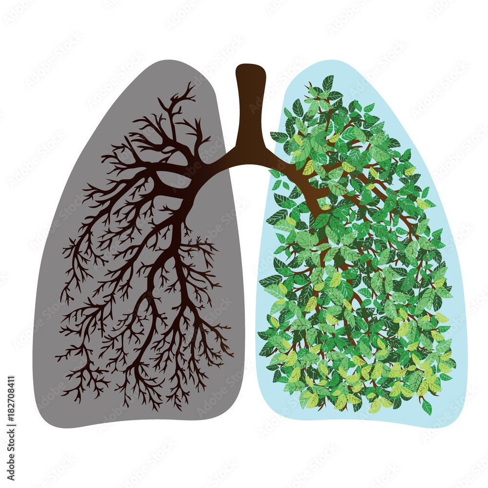 Human lungs. Respiratory system. Healthy lungs. Light in the form of a ...