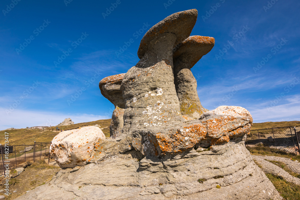 Hiking trail The Burned Rock (Piatra Arsa), Caraiman Cross, The Old ...