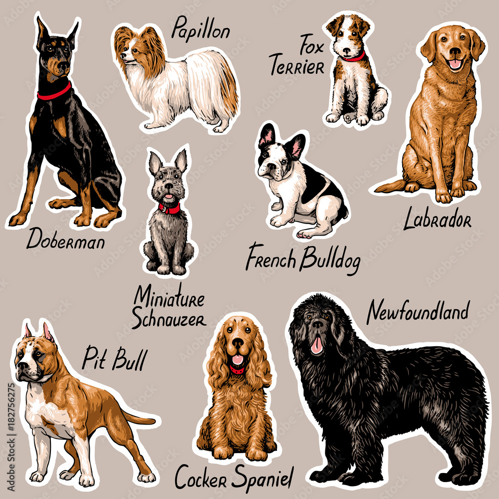 Set of dogs. Vector illustration. Stock Vector | Adobe Stock