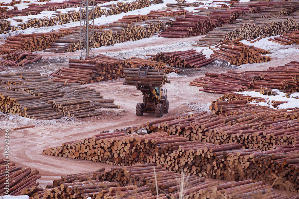 Deforestation, logging, woodworking, timber storage, deforestation in ...
