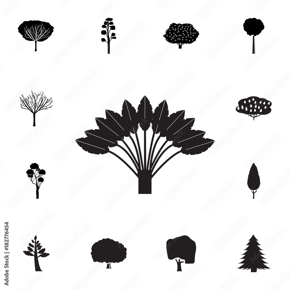 Ravenala tree icon. Set of silhouette of tree icons. Web Icons Premium ...