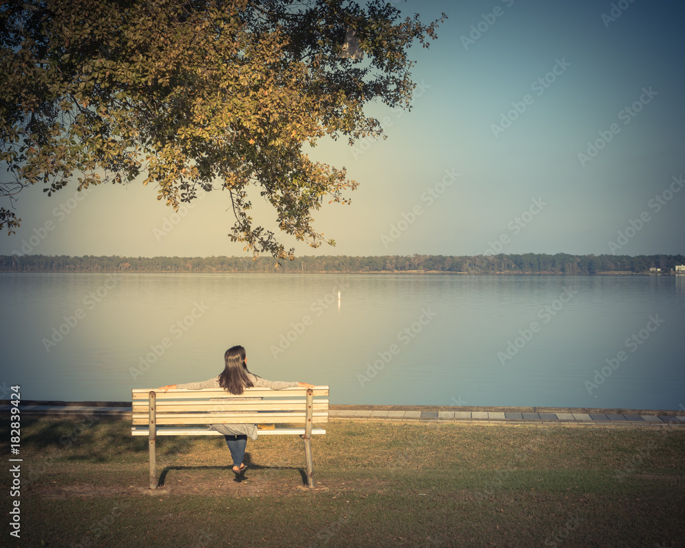 Back Of A Bench By Water